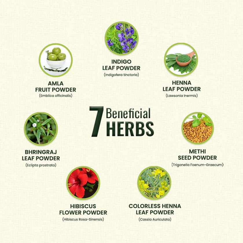 Radico Organic Natural Hair Colour | Nourished Life AU